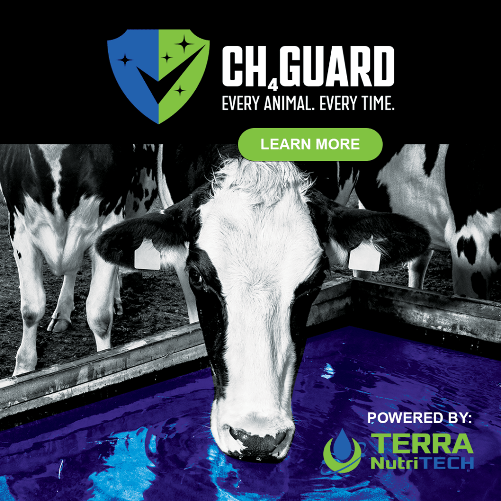 Animal Mineral Technology | Improving Animal Health | Terra Nutritech